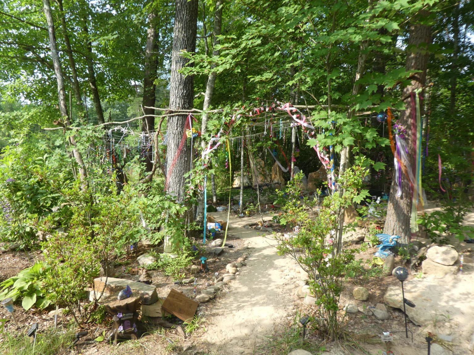 About Us - Dragon Haven