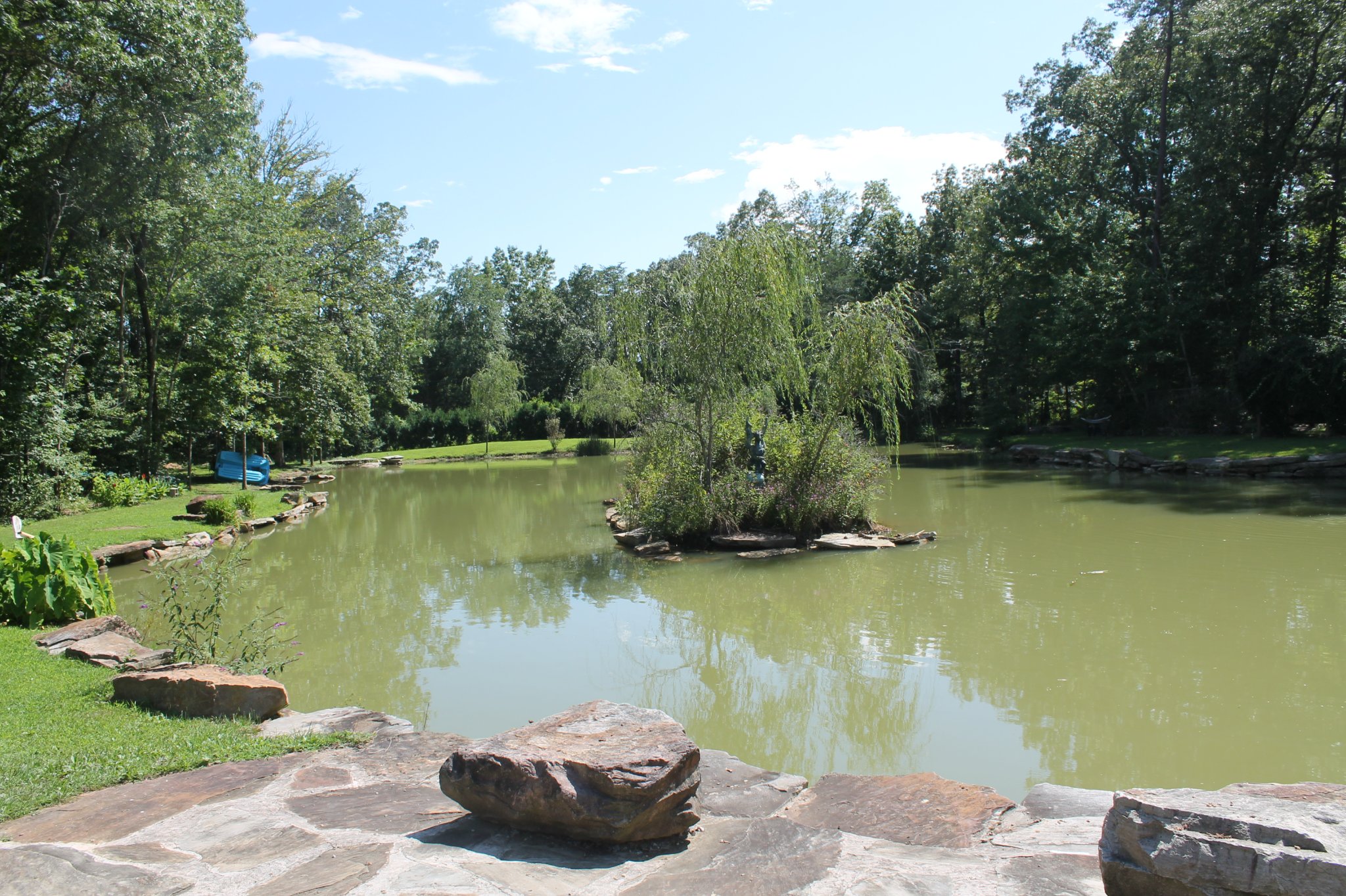 Donate - Dragon Haven