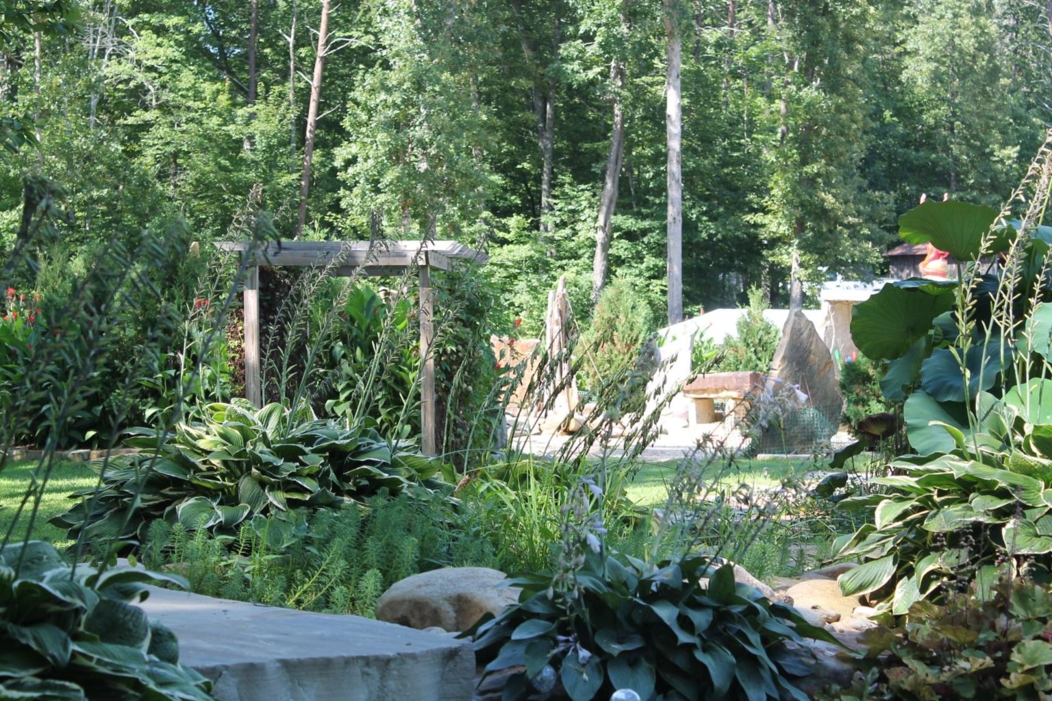 About Us - Dragon Haven