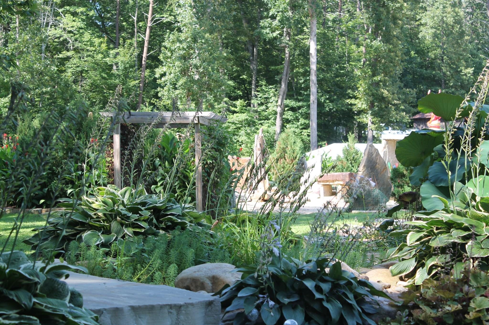 About Us - Dragon Haven